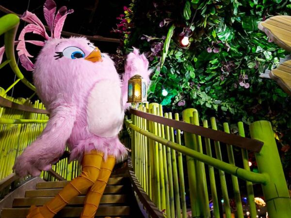 Live Shows | Angry birds World