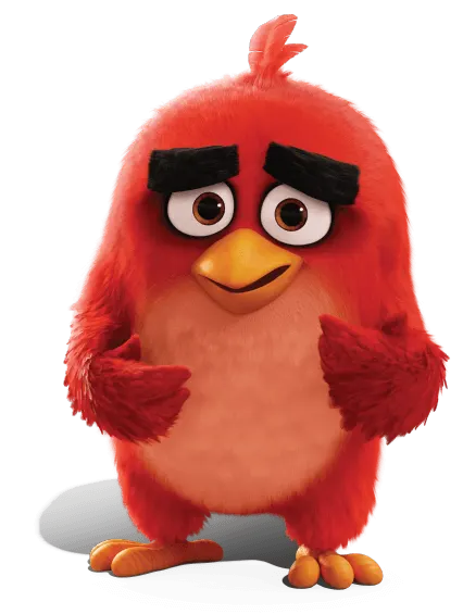 ANGRY COASTER | Angry birds World